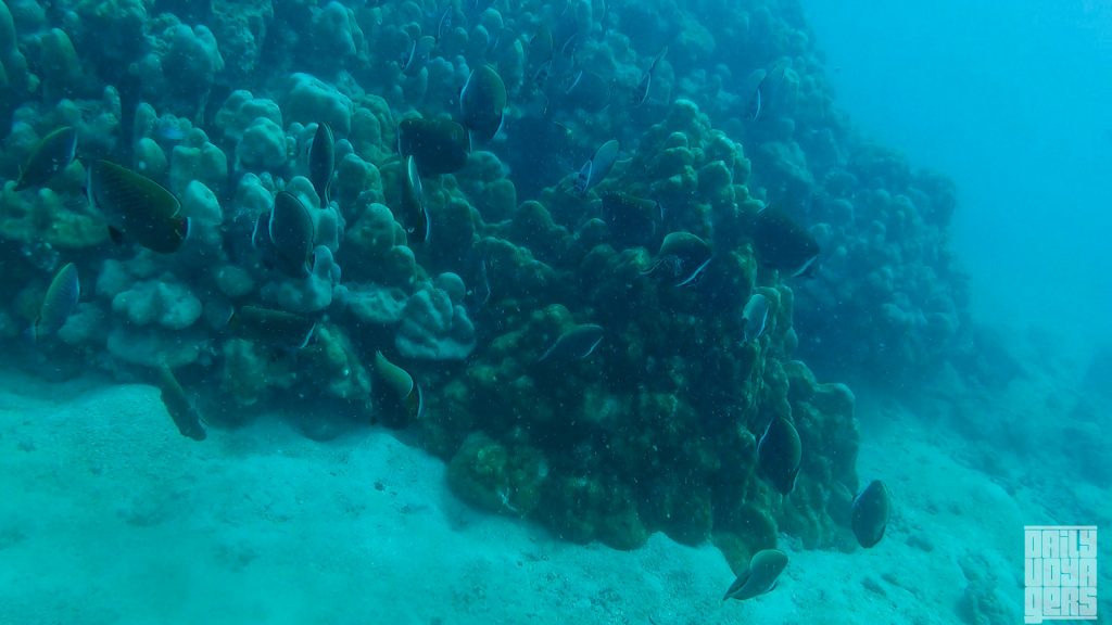 Inong Balee: Pantai dengan Segudang Cerita dan Pesona