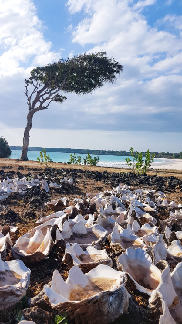 5 Pantai Cantik yang Menjadi Surga Wisata di Pulau Semau
