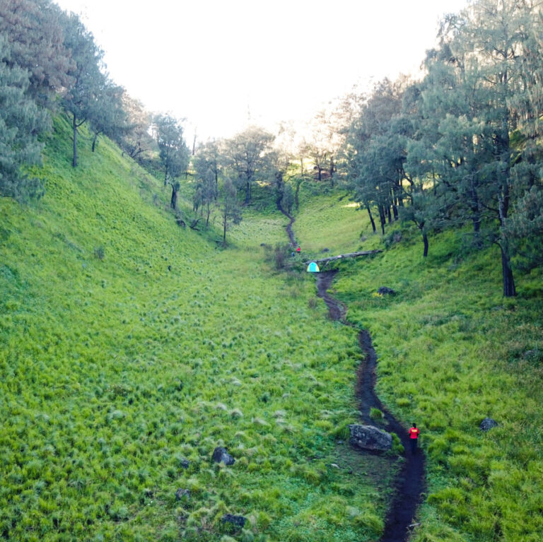 Mau Mendaki Gunung Lawu via Cetho? Ini Jalur yang Harus Kalian Lalui