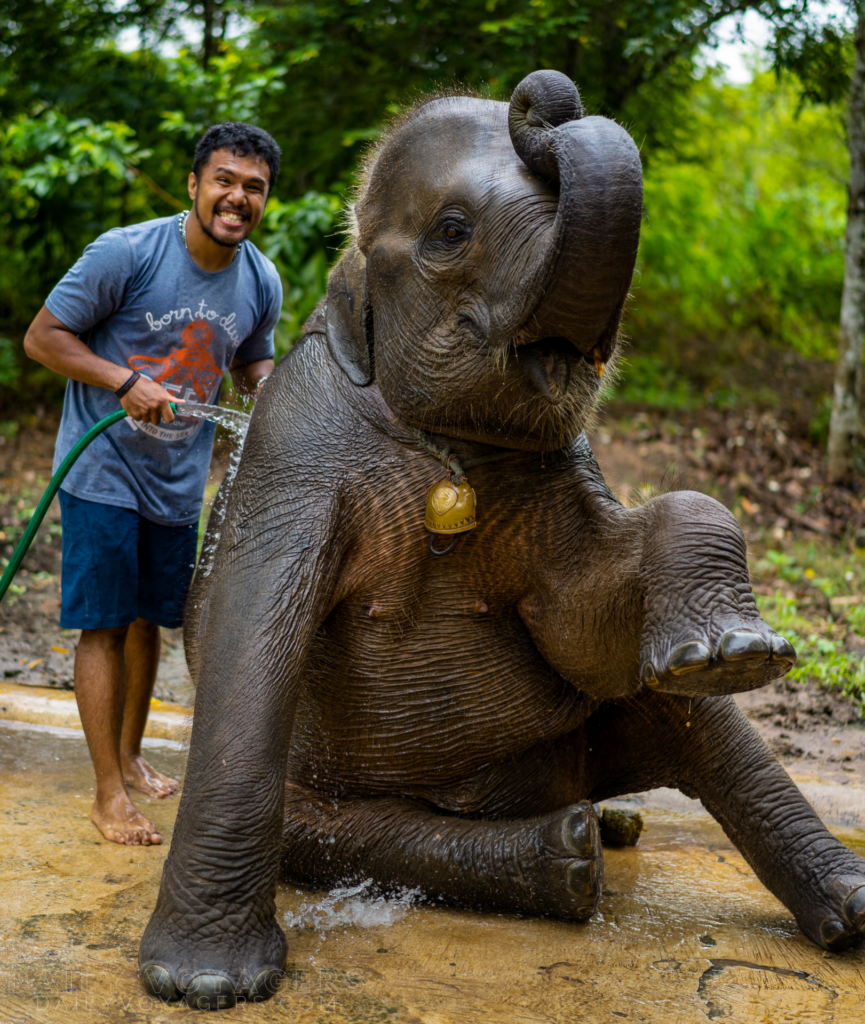 Mengenal ERU (Elephant Response Unit) di Taman Nasional Way Kambas