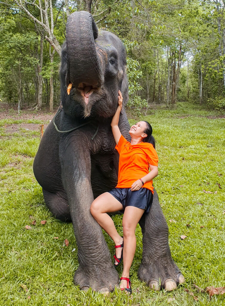 Mengenal ERU (Elephant Response Unit) di Taman Nasional Way Kambas
