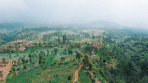 Rute Pendakian Gunung Cikuray via Bayongbong Cintanagara