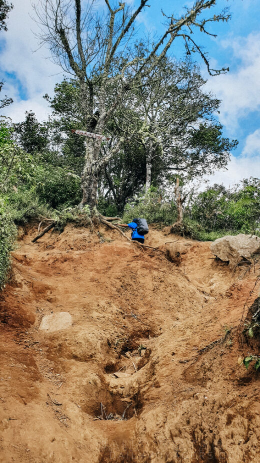 Rute Pendakian Gunung Cikuray via Bayongbong Cintanagara