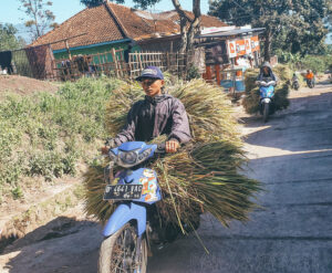 Rute Pendakian Gunung Cikuray via Bayongbong Cintanagara