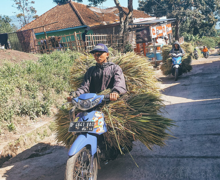 Rute Pendakian Gunung Cikuray via Bayongbong Cintanagara