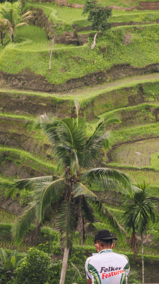 Sawah Terasering Tegallalang: Sebuah Kombinasi Antara Alam dan Seni